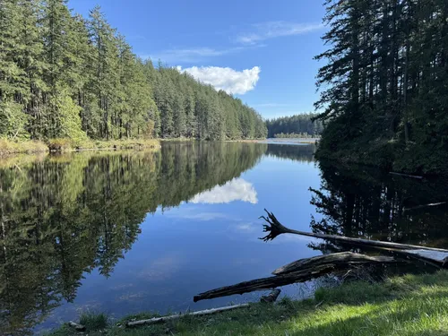 Best Trail Running Trails in Cranberry Lake Park ACFL | AllTrails