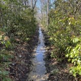 Mount Tom Trail, Rhode Island - 676 Reviews, Map | AllTrails