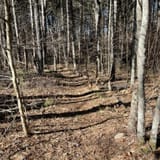 Mount Tom Trail, Rhode Island - 697 Reviews, Map | AllTrails