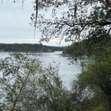 Bell Point Loop Trail, Washington - 407 Reviews, Map | AllTrails