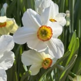 Patton Cave via Grubb Ridge and Hayes Trail, Indiana - 697 Reviews, Map ...