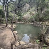 Turkey Creek Trail, Texas - 2,399 Reviews, Map | AllTrails