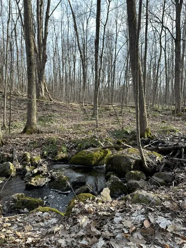 Best Hikes and Trails in Marble Rock Conservation Area | AllTrails