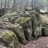 Bilger’s Rocks, Pennsylvania - 125 Reviews, Map | AllTrails