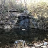 Moss Rock Preserve Trail, Alabama - 1,177 Reviews, Map | AllTrails