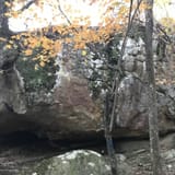Moss Rock Preserve Trail, Alabama - 1,051 Reviews, Map | AllTrails