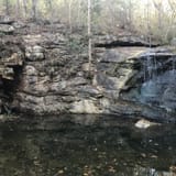 Moss Rock Preserve Trail, Alabama - 1,051 Reviews, Map | AllTrails