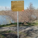 Bateman Island Loop, Washington - 166 Reviews, Map | AllTrails