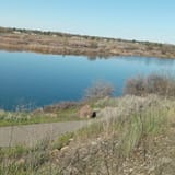 Bateman Island Loop, Washington - 166 Reviews, Map | AllTrails