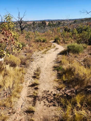 Best Hikes and Trails in Lobethal Bushland Park | AllTrails