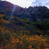 Romero Canyon Trail to Romero Pools, Arizona - 3,757 Reviews, Map ...