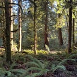 Mount Muller Trail, Washington - 190 Reviews, Map | AllTrails