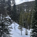 Lava Lake Trail, Montana - 2,931 Reviews, Map | AllTrails