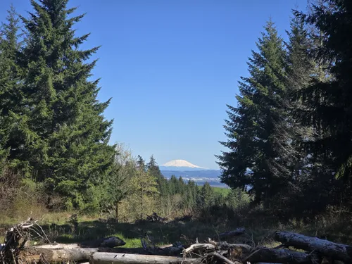 Best Walking Trails in Gaston | AllTrails