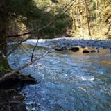 Duckabush River Trail to Five Mile Camp, Washington - 882 Reviews, Map ...