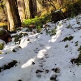 Duckabush River Trail to Five Mile Camp, Washington - 882 Reviews, Map ...