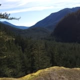 Duckabush River Trail to Five Mile Camp, Washington - 882 Reviews, Map ...