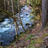 Duckabush River Trail to Five Mile Camp, Washington - 882 Reviews, Map ...