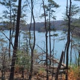 Lake Blue Ridge Campground Trail , Georgia - 577 Reviews, Map | AllTrails