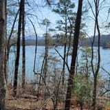 Lake Blue Ridge Campground Trail , Georgia - 577 Reviews, Map | AllTrails