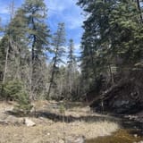 Argentina Peak and Little Bonito Trail Loop, New Mexico - 441 Reviews ...