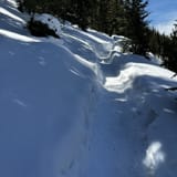 Chief Mountain Trail, Colorado - 8,415 Reviews, Map | AllTrails
