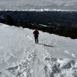 Chief Mountain Trail, Colorado - 8,415 Reviews, Map | AllTrails
