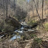 Coleman River Trail, Georgia - 138 Reviews, Map | AllTrails
