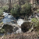 Coleman River Trail, Georgia - 138 Reviews, Map | AllTrails