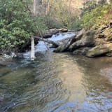 Coleman River Trail, Georgia - 138 Reviews, Map | AllTrails