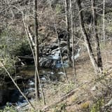 Coleman River Trail, Georgia - 138 Reviews, Map | AllTrails