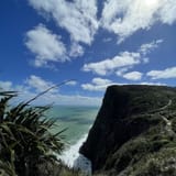 Mercer Bay Loop Track, Auckland, New Zealand - 634 Reviews, Map | AllTrails