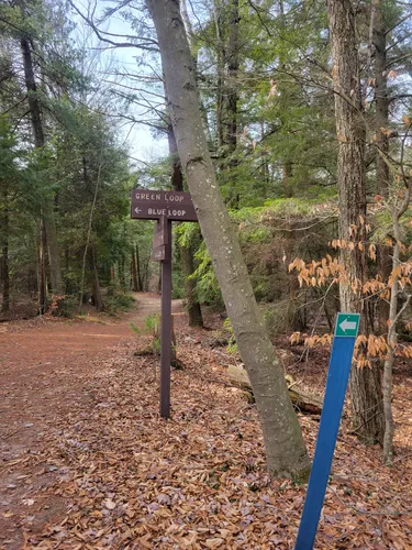 Best Hikes and Trails in Point Beach State Forest | AllTrails