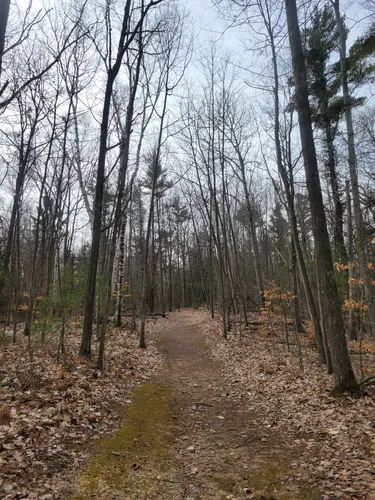 Best Hikes and Trails in Point Beach State Forest | AllTrails