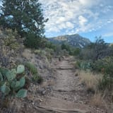 Basin Loop Trail, Texas - 1,110 Reviews, Map | AllTrails