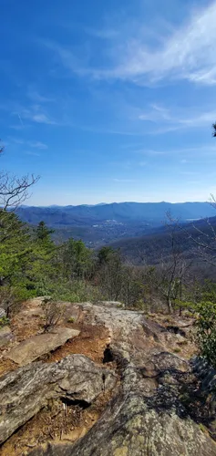 Best Backpacking Trails in Black Mountain | AllTrails