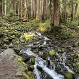 Sol Duc Falls Trail, Washington - 4,551 Reviews, Map | AllTrails