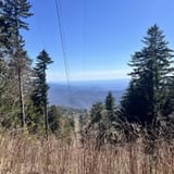 Mount Mitchell Trail, North Carolina - 2,385 Reviews, Map | AllTrails