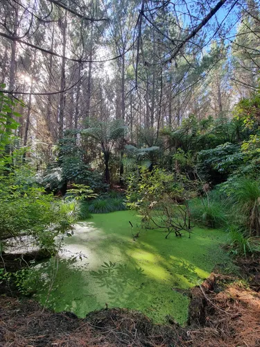 Best Easy Trails in Riverhead Forest | AllTrails