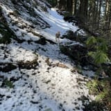 Mount June Trail, Oregon - 239 Reviews, Map | AllTrails