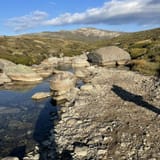Main Range Walk, New South Wales, Australia - 903 Reviews, Map | AllTrails