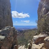 Emory Peak Trail, Texas - 2,166 Reviews, Map | AllTrails