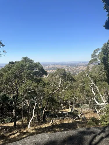 10 Best Forest Trails in Mount Alexander Regional Park | AllTrails