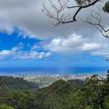 Makiki Valley Loop, Oahu, Hawaii - 5,653 Reviews, Map | AllTrails
