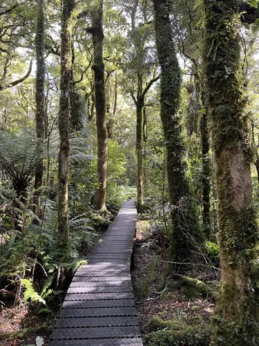 10 Best Hikes and Trails in Tararua Forest Park | AllTrails