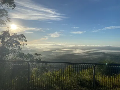 Best Hikes and Trails in Awaba State Forest | AllTrails