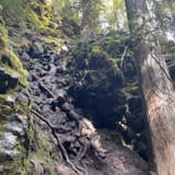 Toketee Falls, Oregon - 2,085 Reviews, Map | AllTrails