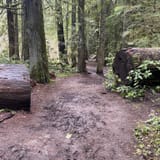 Toketee Falls, Oregon - 2,085 Reviews, Map | AllTrails