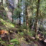 Toketee Falls, Oregon - 2,040 Reviews, Map | AllTrails