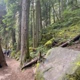 Toketee Falls, Oregon - 2,040 Reviews, Map | AllTrails